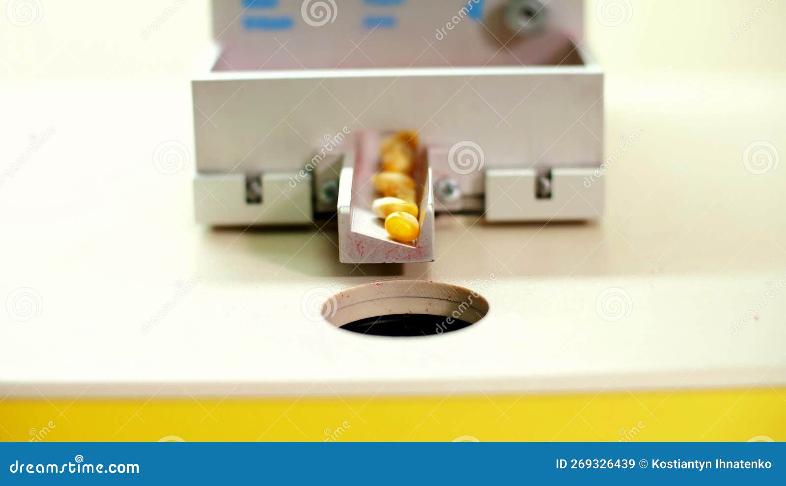 Laboratory Research of Corn Seeds. Samples of Different Species ...