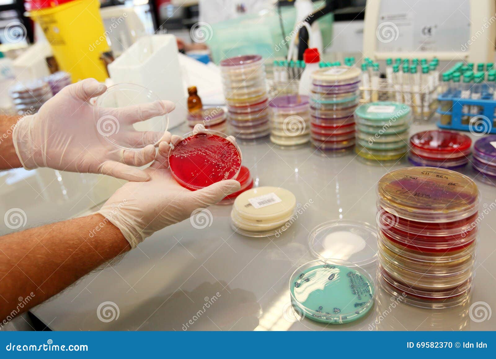 Laboratory stock photo. Image of infectious, laboratory - 69582370
