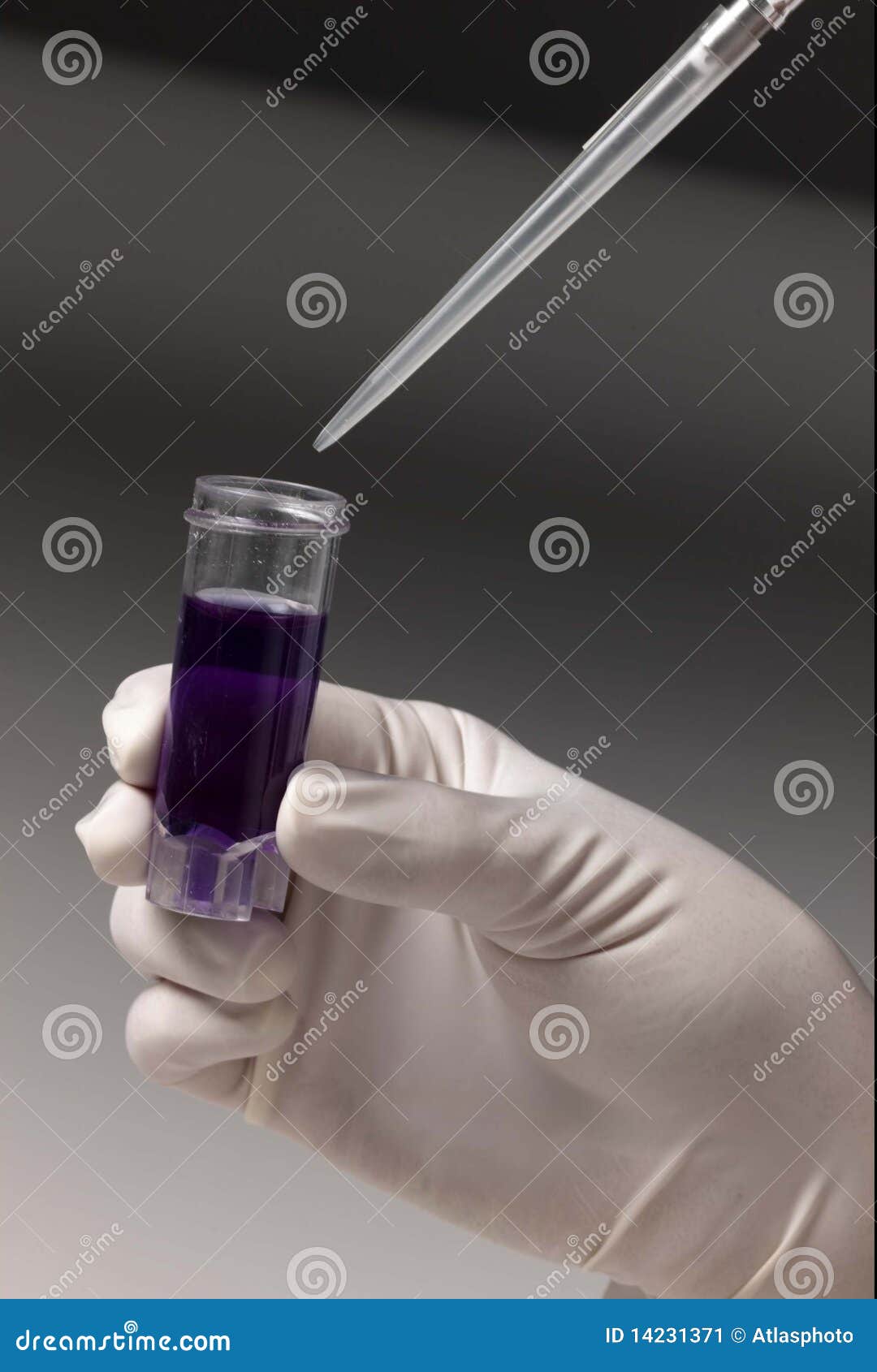Laboratory sample stock image. Image of clean, laboratory - 14231371