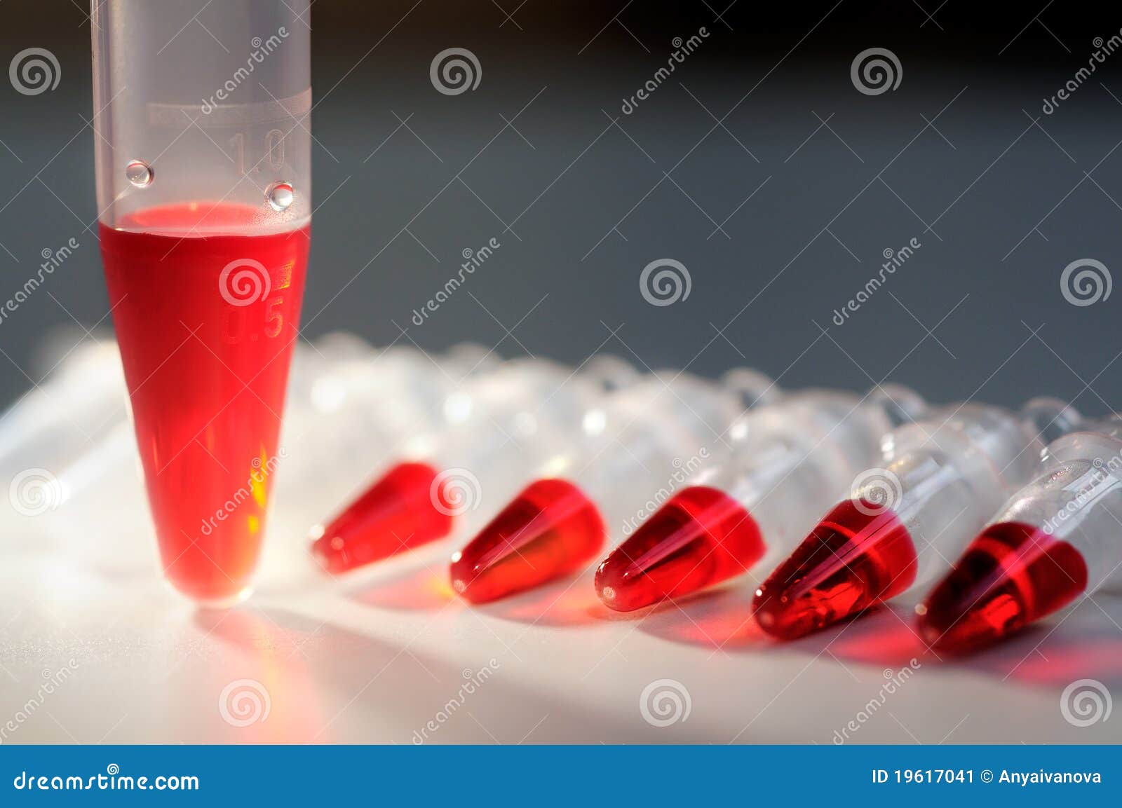 Laboratory Samples for DNA Analysis Stock Image - Image of nucleic ...