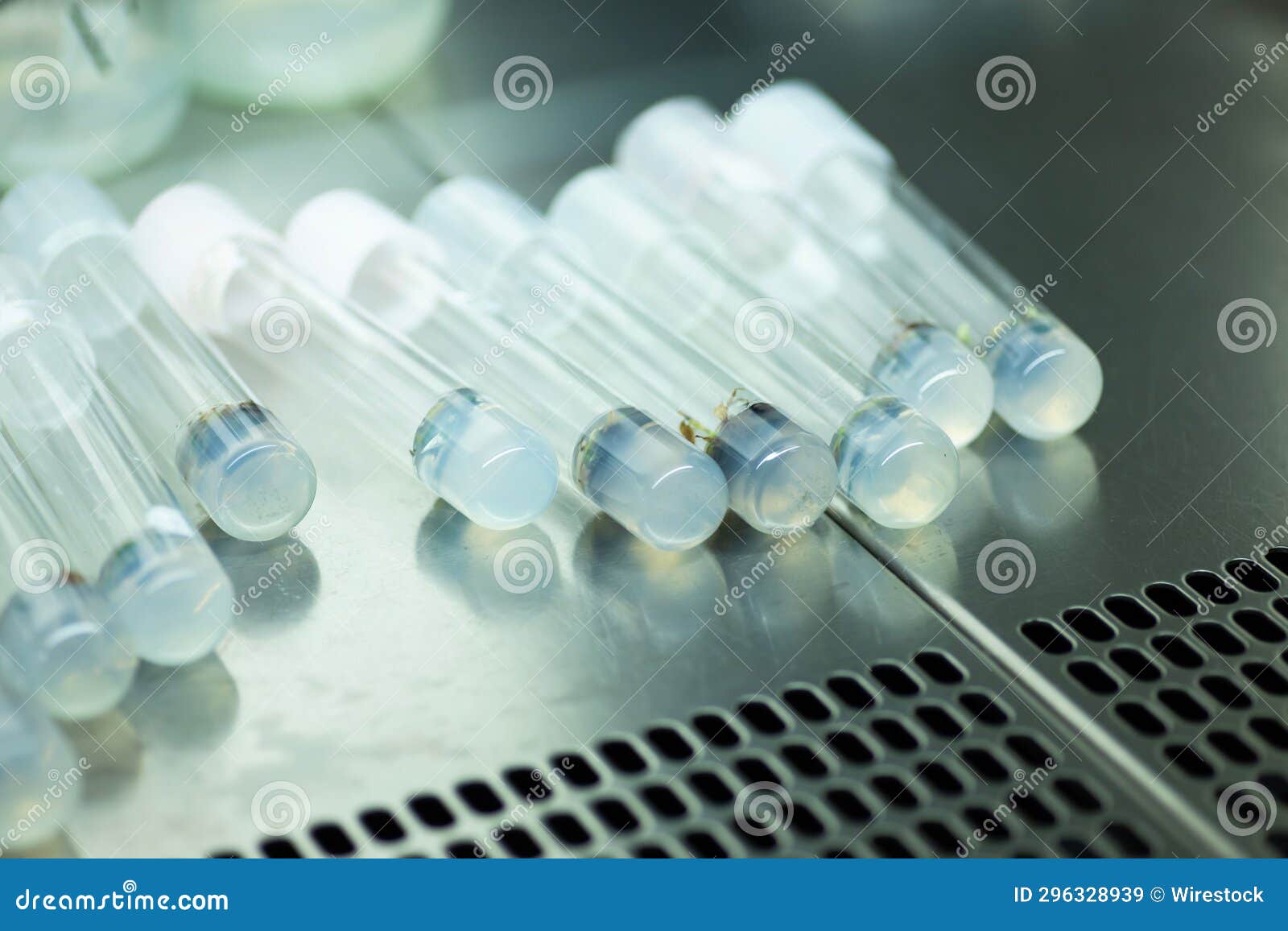 Laboratory Scene with Multiple Vials Containing Samples for ...