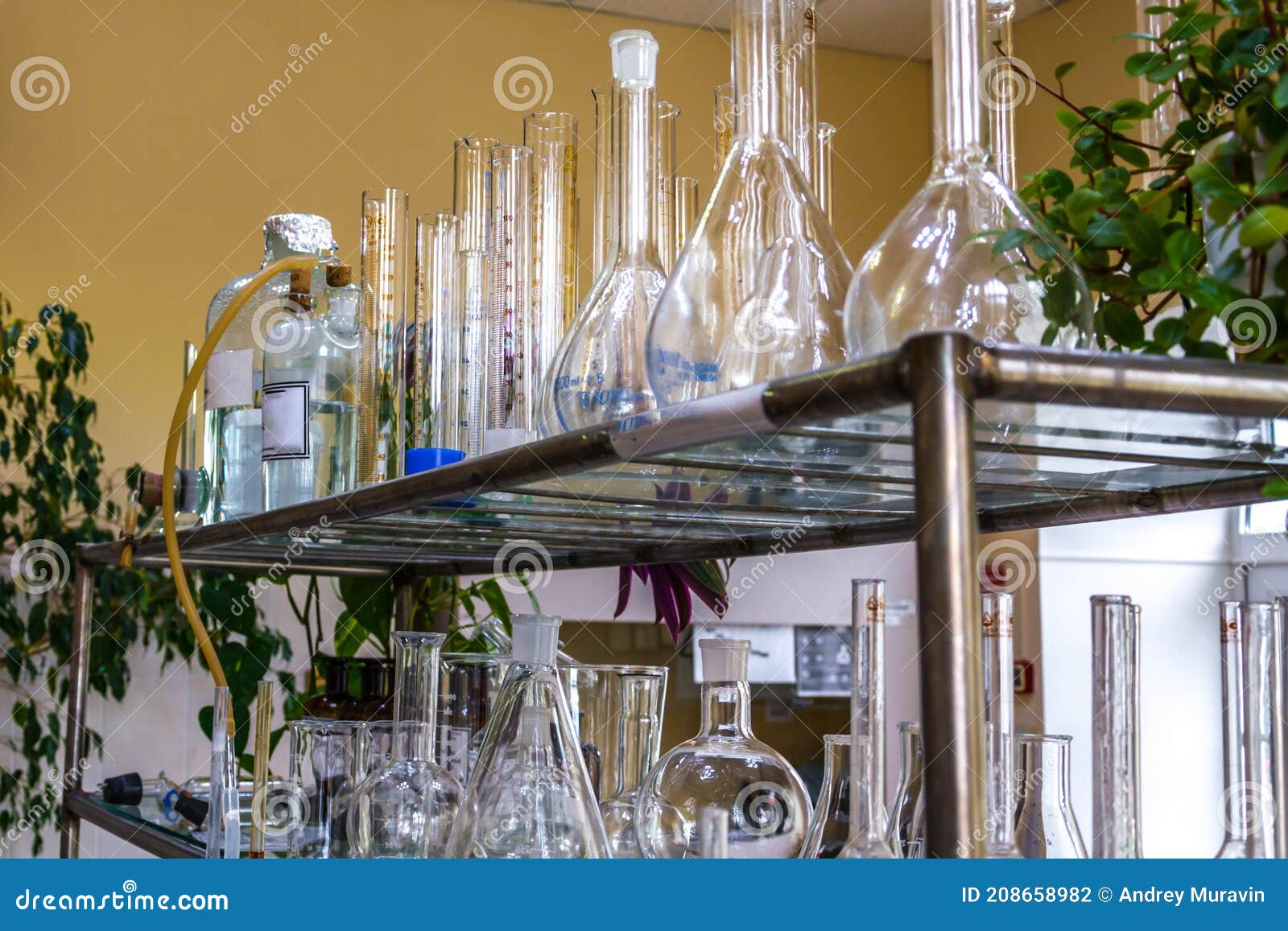 Laboratory stock photo. Image of microbiology, science - 208658982