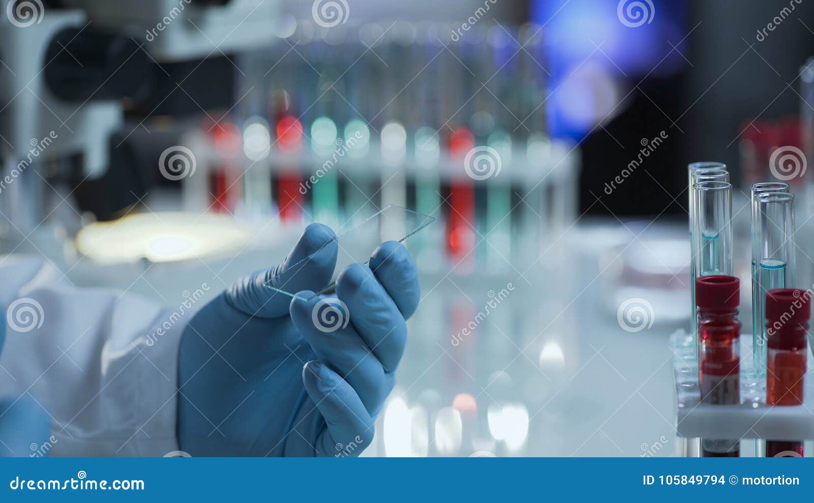 Laboratory Scientist Preparing Microscope Slides for Examination of ...