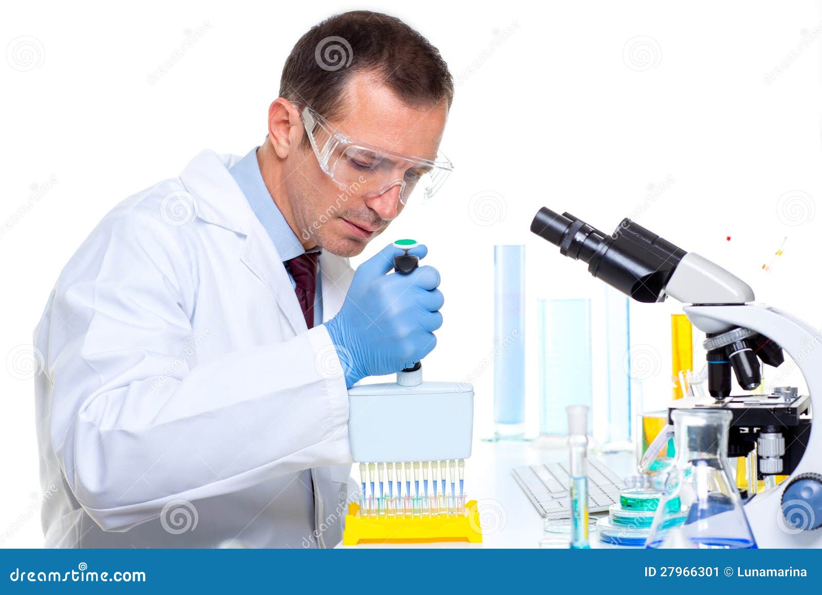 Laboratory Scientist Using a Multi Channel Pipette Stock Image - Image ...