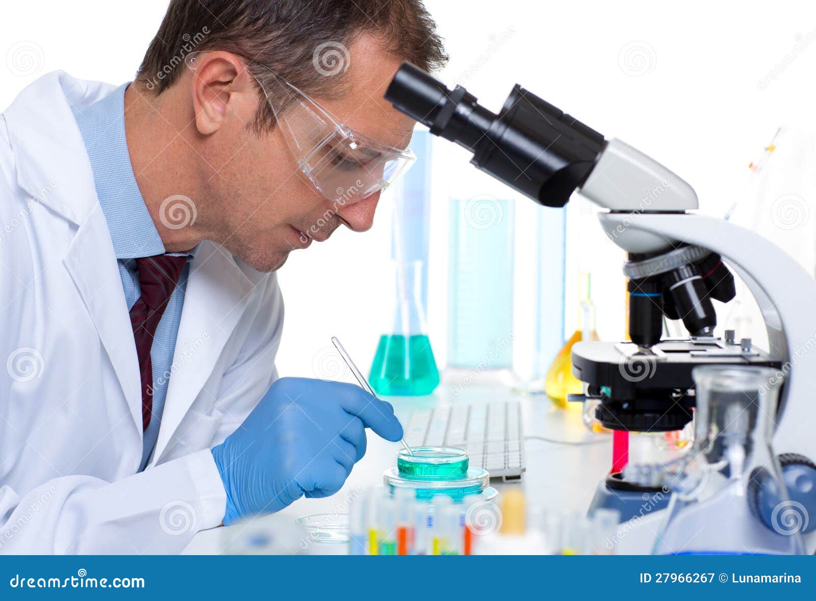 Laboratory Scientist Working at Lab with Test Tubes Stock Image - Image ...