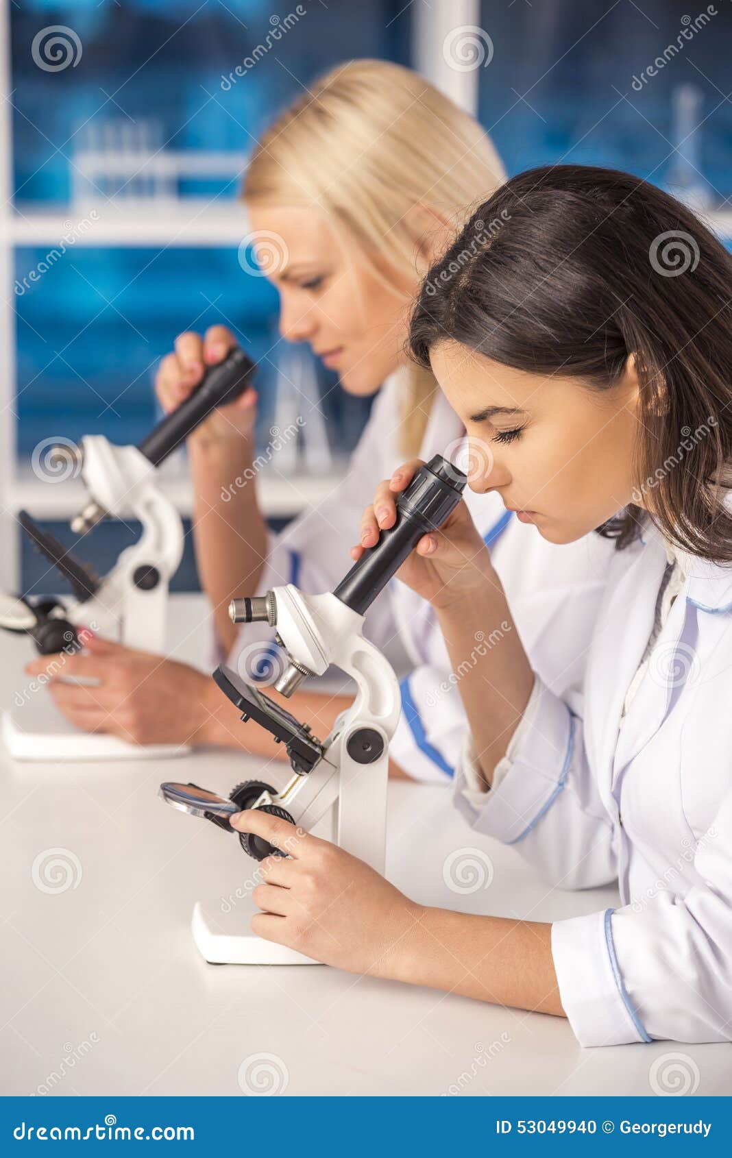 Laboratory stock photo. Image of education, analysis - 53049940