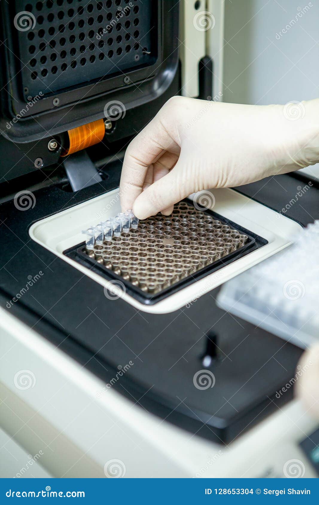 A Laboratory Specialist Places Test Tubes with Test Samples in a ...
