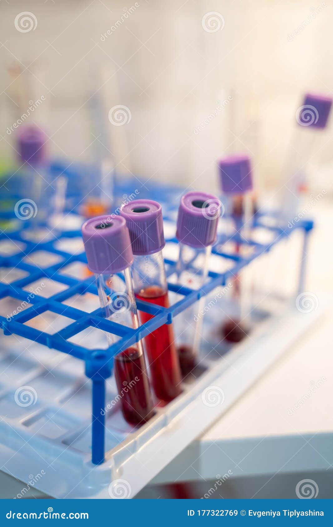 A laboratory table stock image. Image of pharmaceutical - 177322769