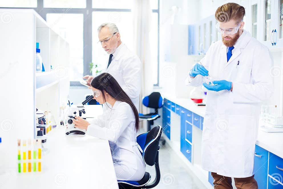 Laboratory Teamwork. Group of Three is Working for New Project Stock ...