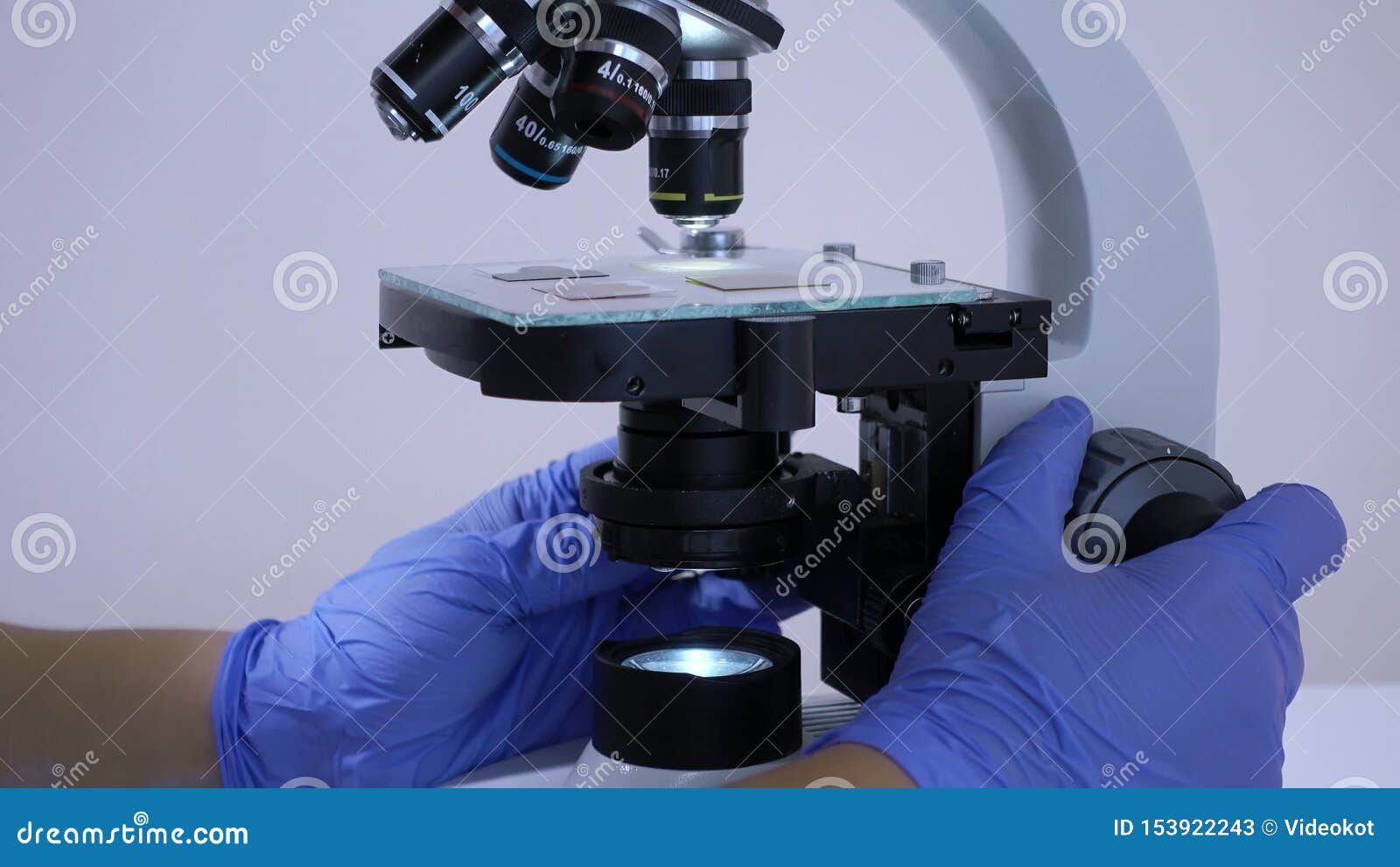 Laboratory Technician Makes Fine-tuning of the Microscope Stock Video ...
