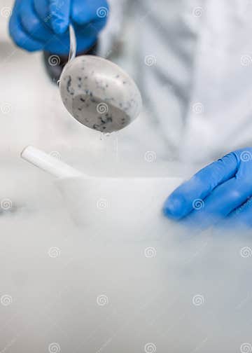 Laboratory Technician Performs an Experiment with Liquid Nitrogen Stock ...