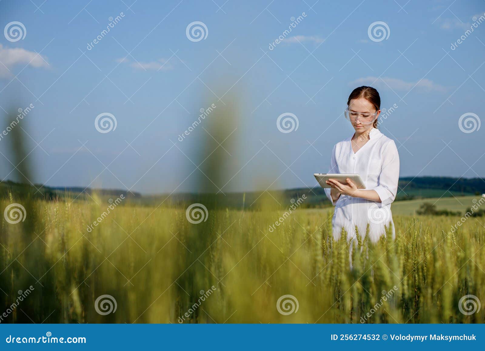 Laboratory-technician Using Digital Tablet Computer in a Cultivated ...