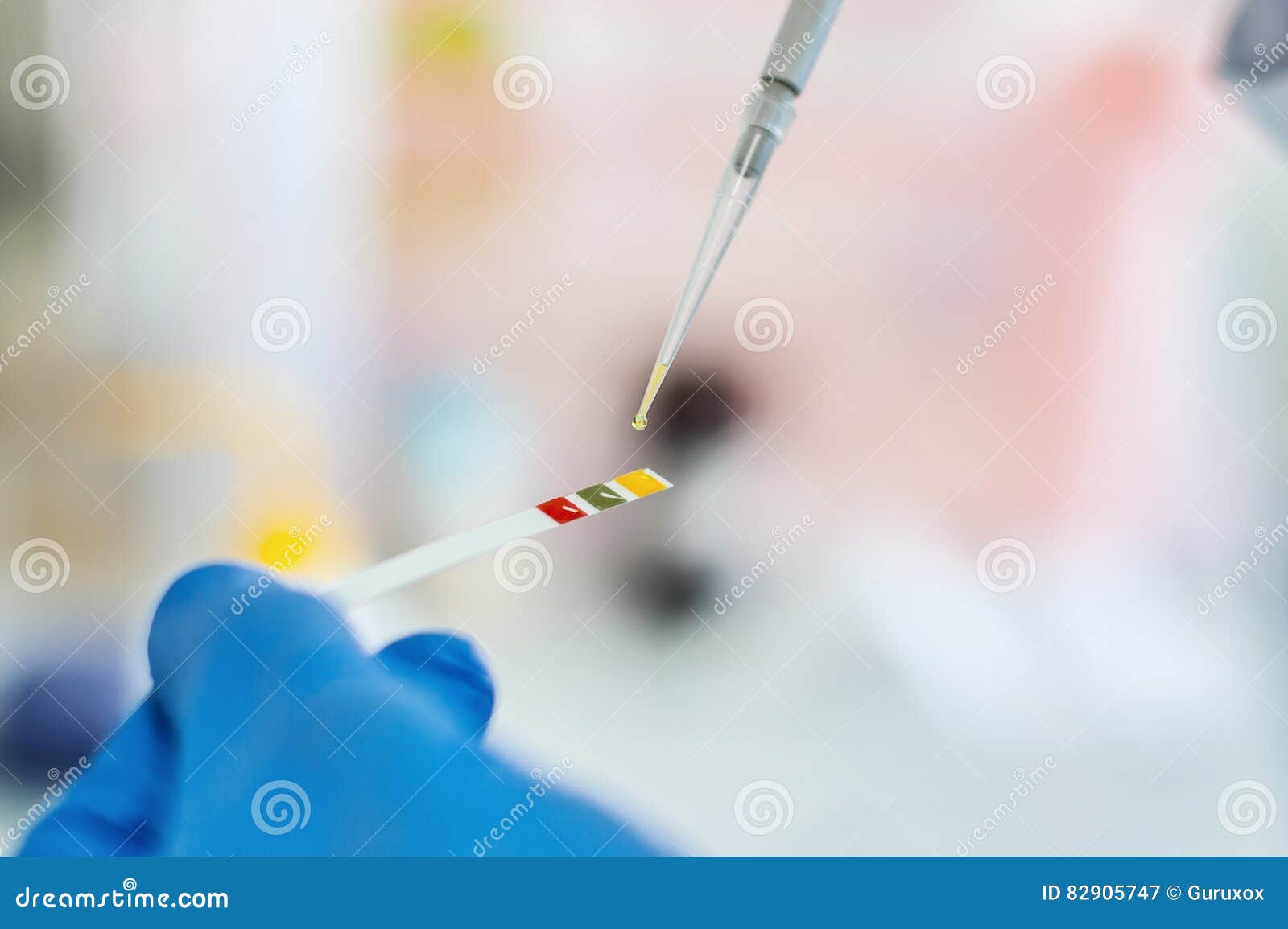 Laboratory Technician Working with Test Strips Indicator Paper Stock ...