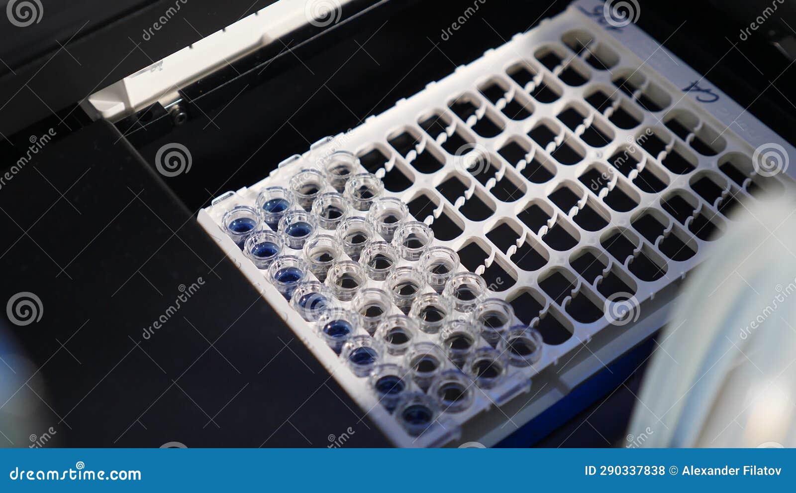Laboratory Technicians Moving Samples. Human Samples Analyzer Studies ...