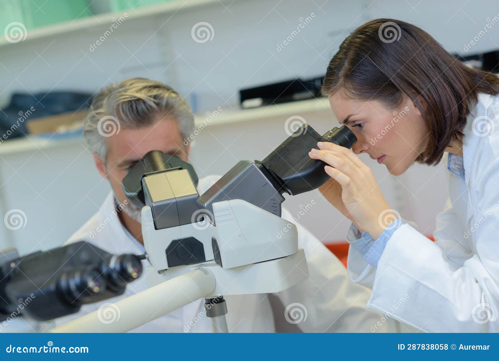 Laboratory Technicians Using Microscopes Stock Photo - Image of ...