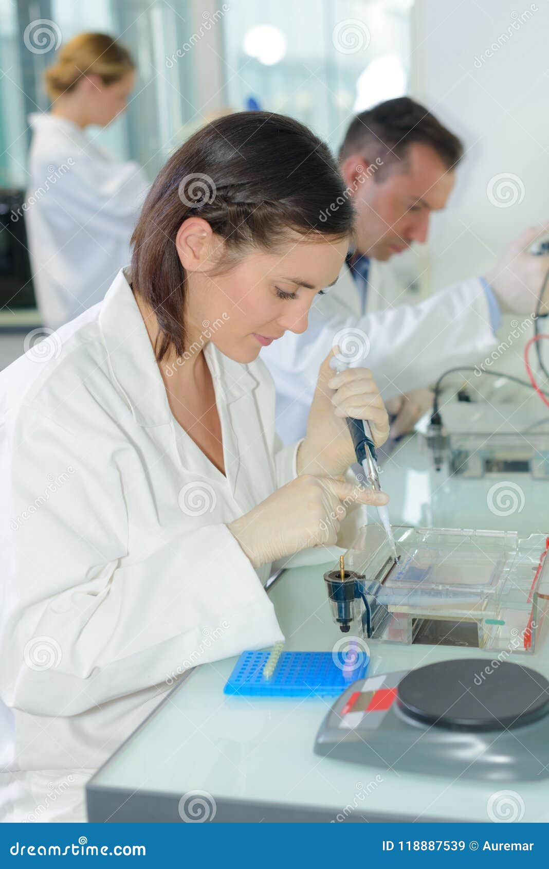 Laboratory Technicians at Work Stock Image - Image of medicine ...
