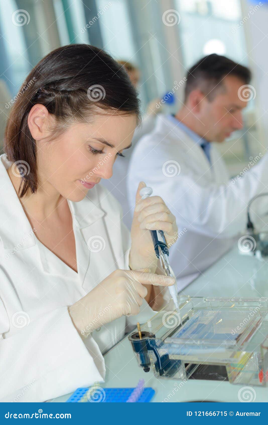 Laboratory Technicians at Work Stock Image - Image of pipette ...