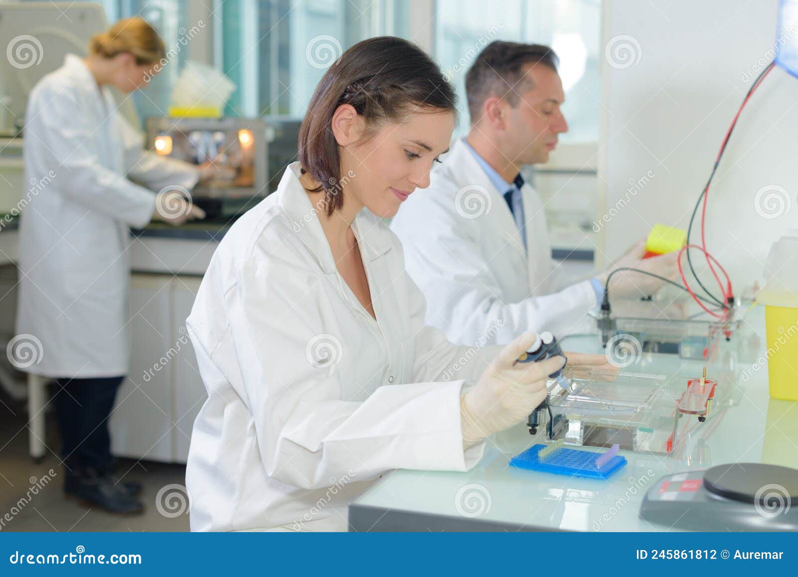 Laboratory Technicians at Work Stock Photo - Image of finding ...
