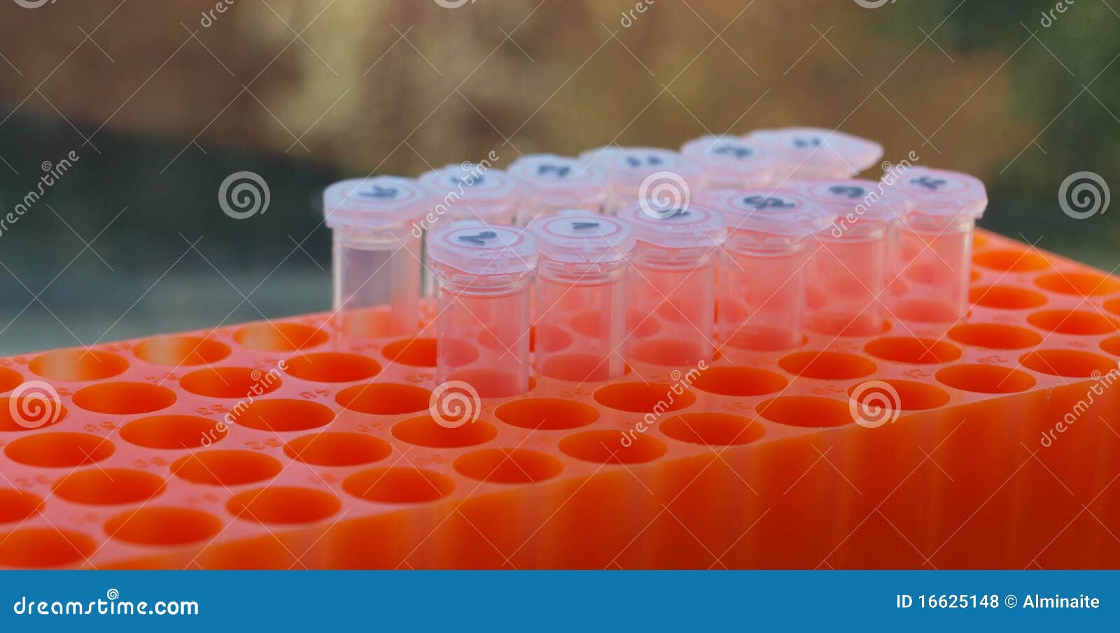 Laboratory test tubes stock photo. Image of medical, isolated - 16625148