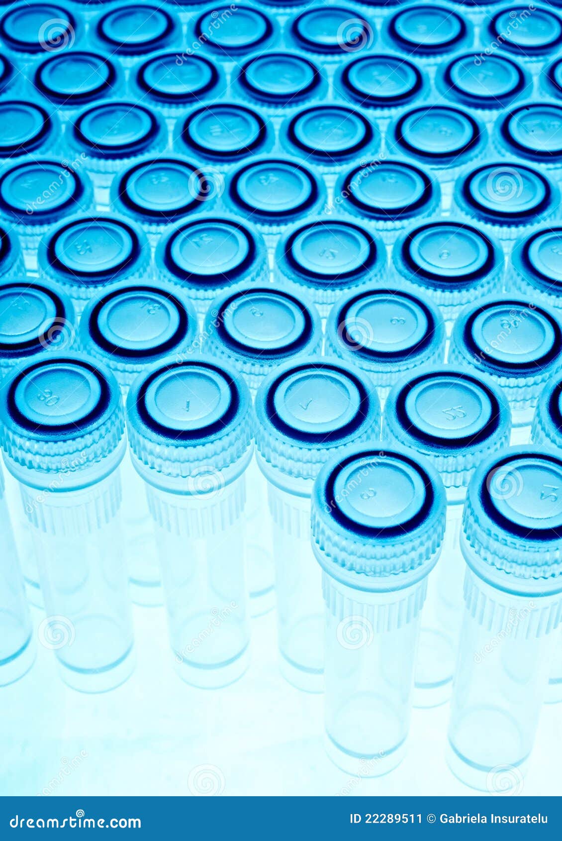 Laboratory test tubes stock image. Image of pharmaceutical - 22289511