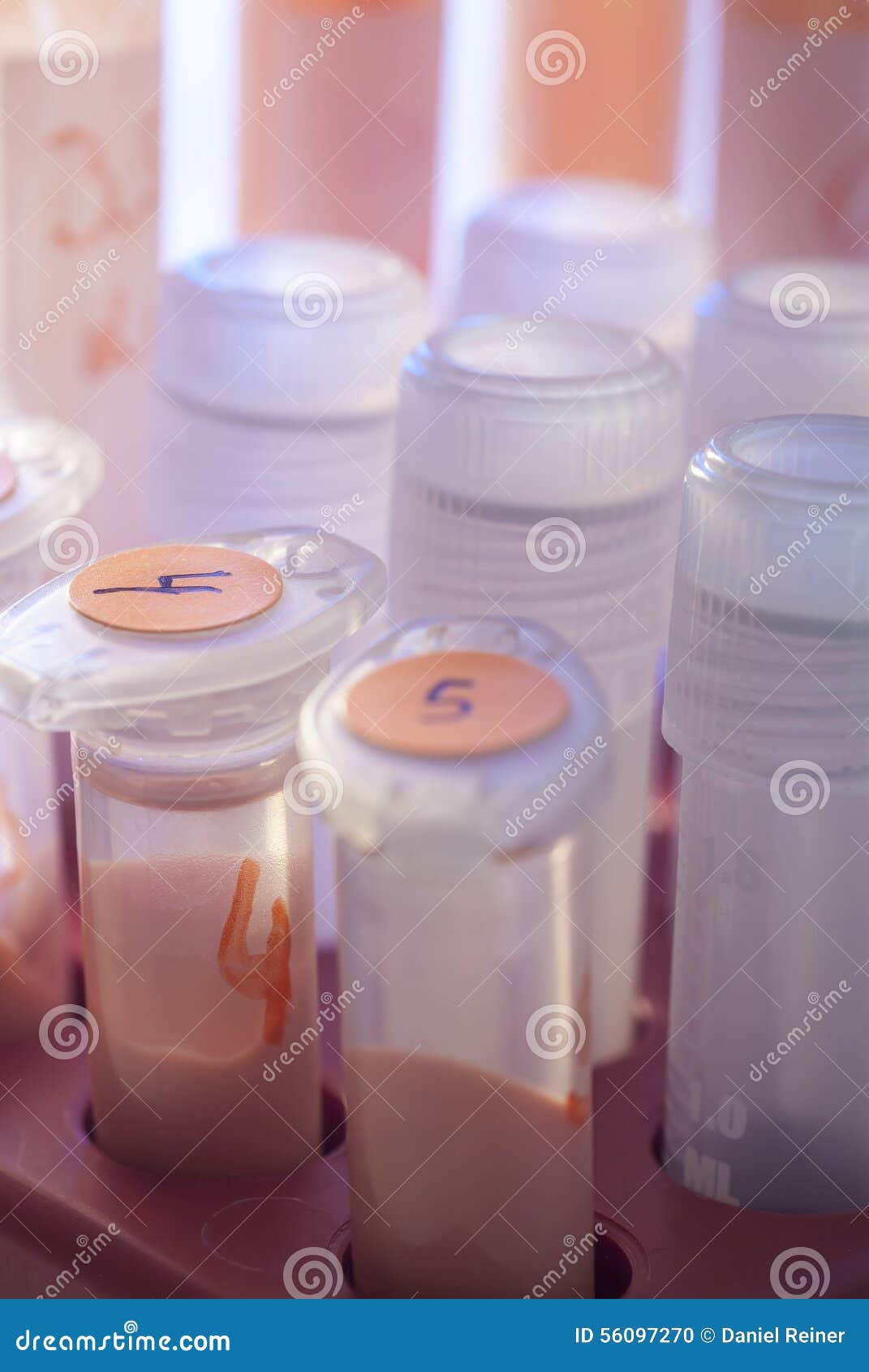 Laboratory test tubes stock photo. Image of liquid, chemist - 56097270