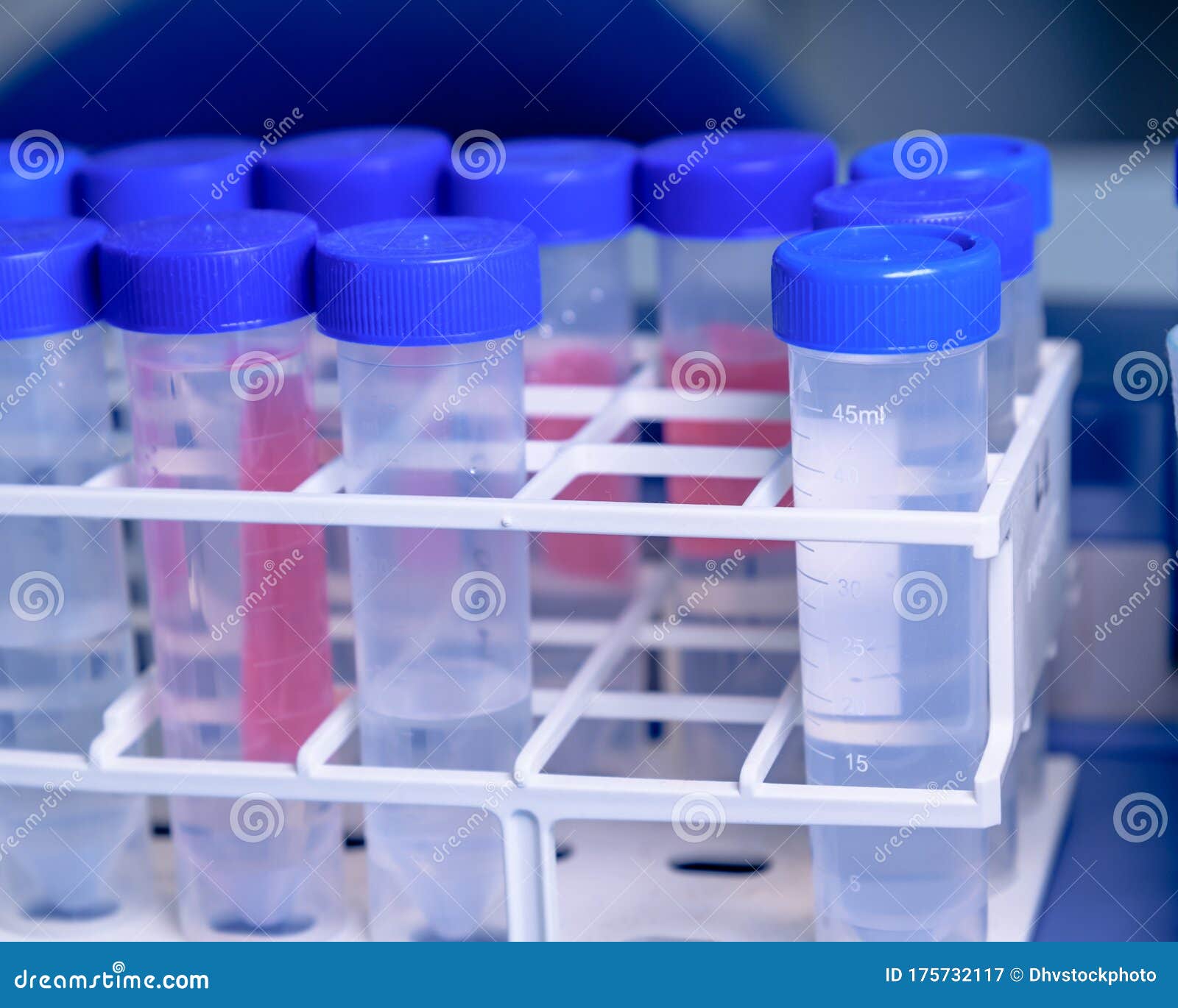Laboratory Test Tubes in Rack. Concept of Science, Laboratory and Study ...
