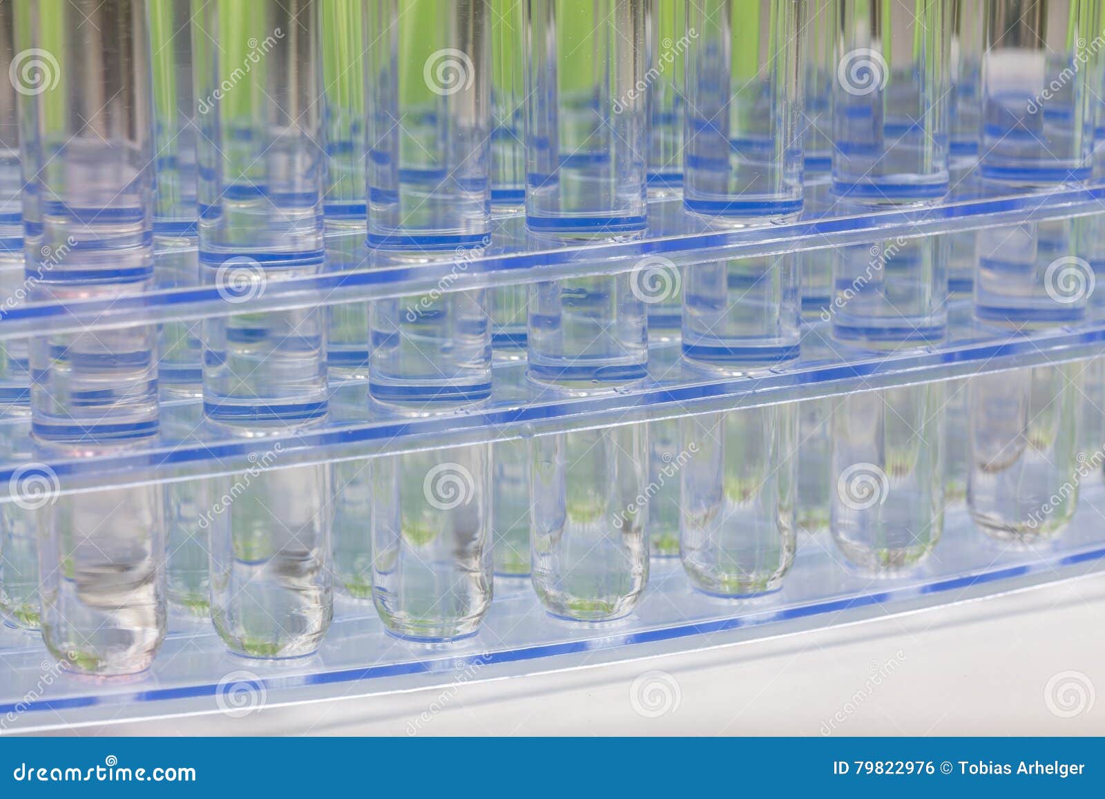 Laboratory test tubes stock photo. Image of equipment - 79822976