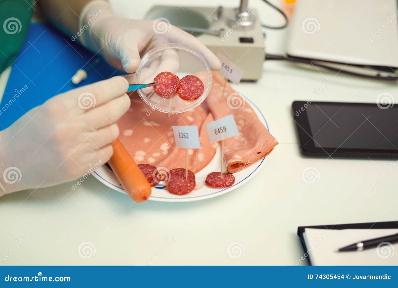 Laboratory Testing of Cured Meat Products Stock Photo - Image of ...