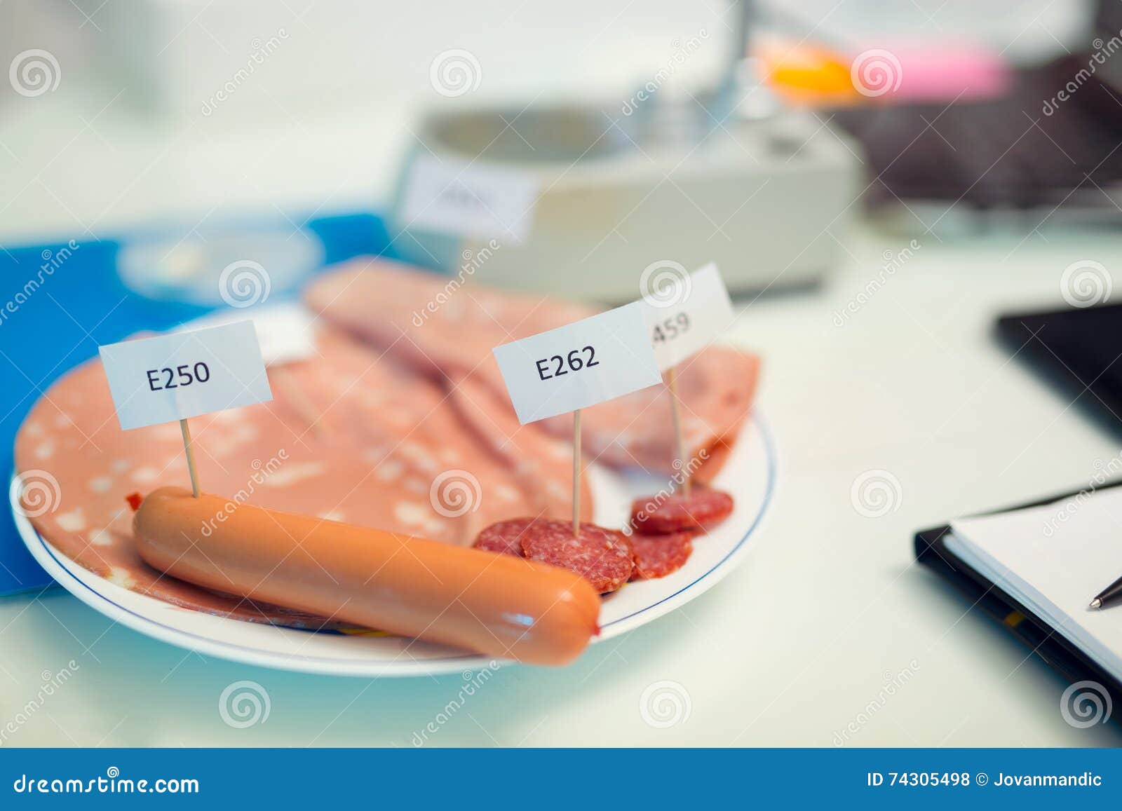Laboratory Testing of Cured Meat Products Stock Photo - Image of dish ...