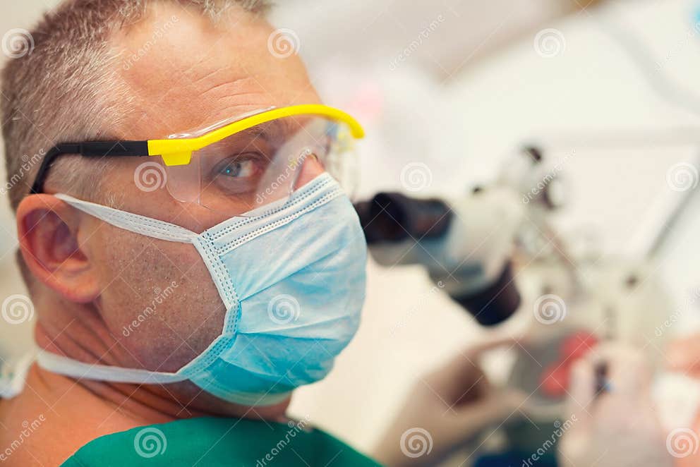 Laboratory Testing of Cured Meat Products Stock Photo - Image of cured ...