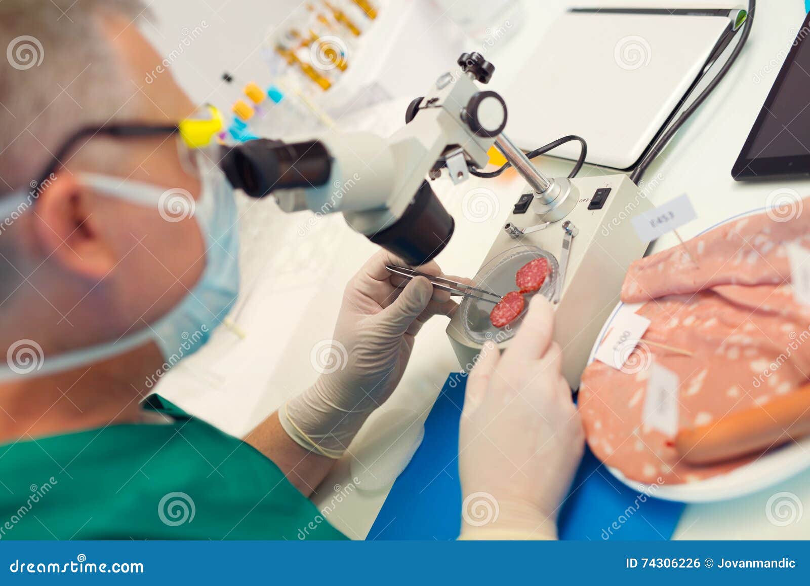 Laboratory Testing of Cured Meat Products Stock Photo - Image of meat ...