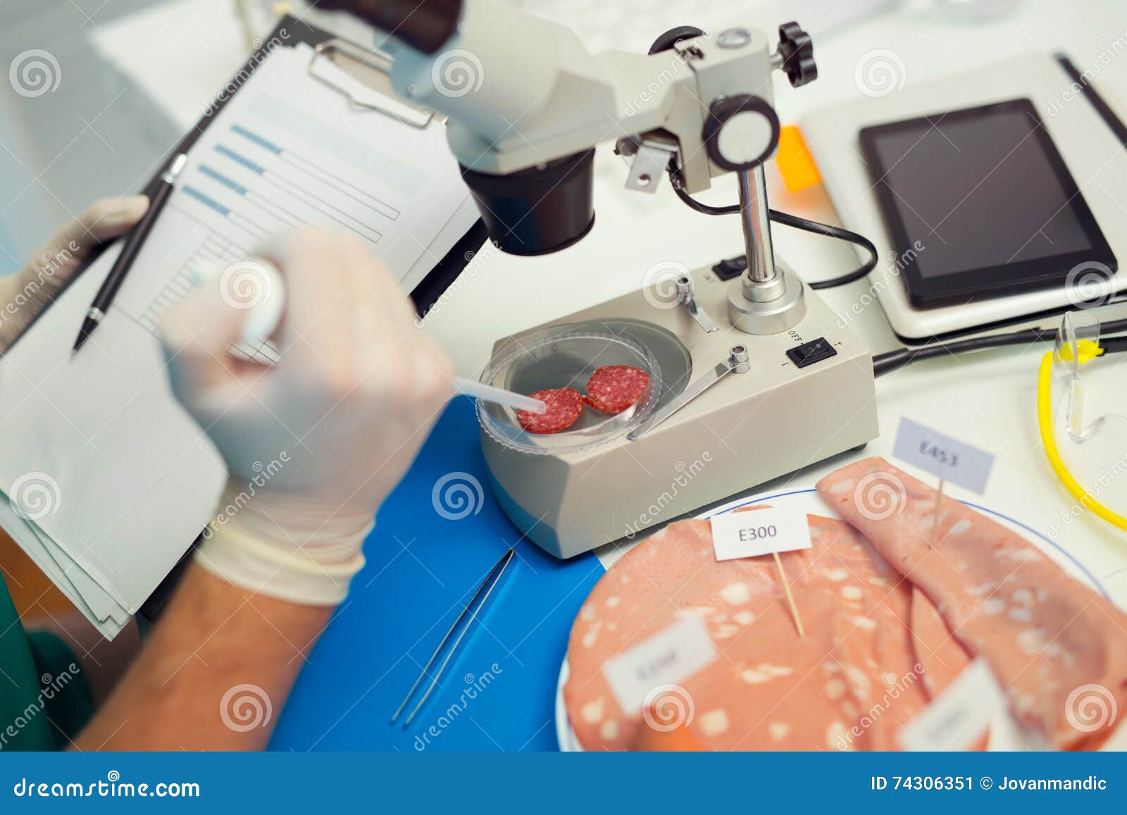 Laboratory Testing of Cured Meat Products Stock Image - Image of ...