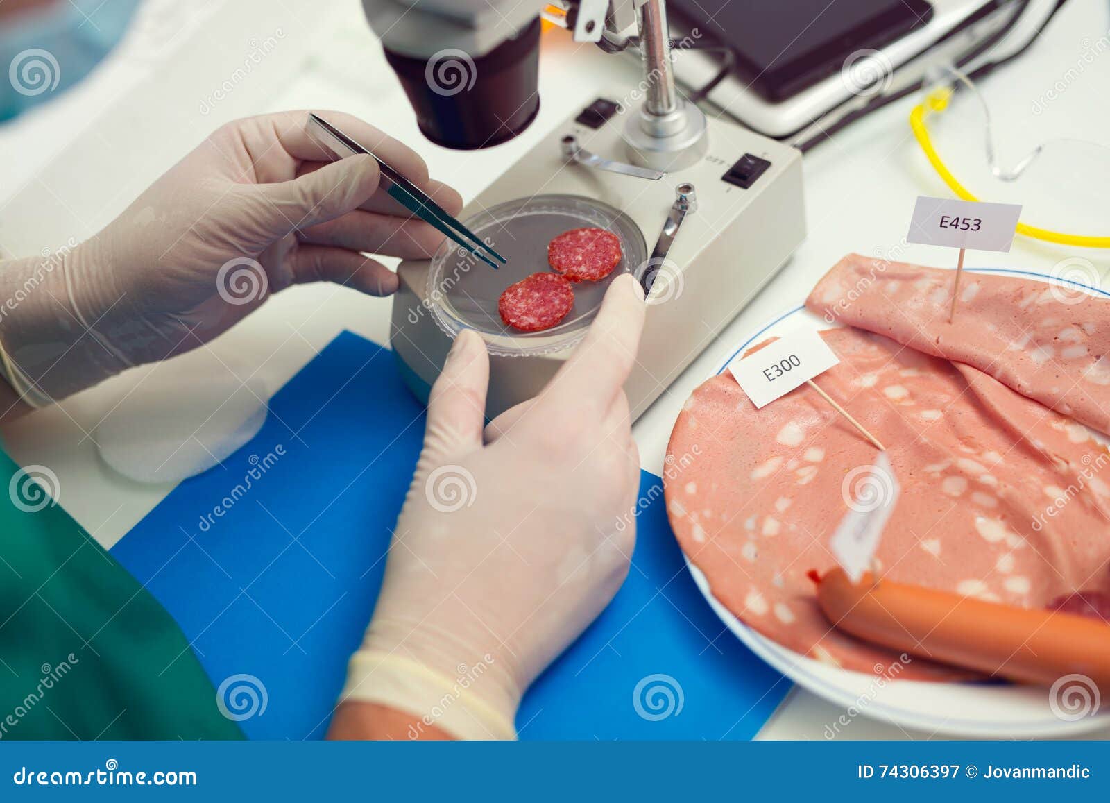 Laboratory Testing of Cured Meat Products Stock Image - Image of ...