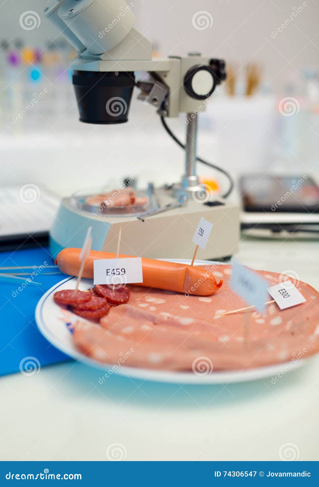 Laboratory Testing of Cured Meat Products Stock Image - Image of ...