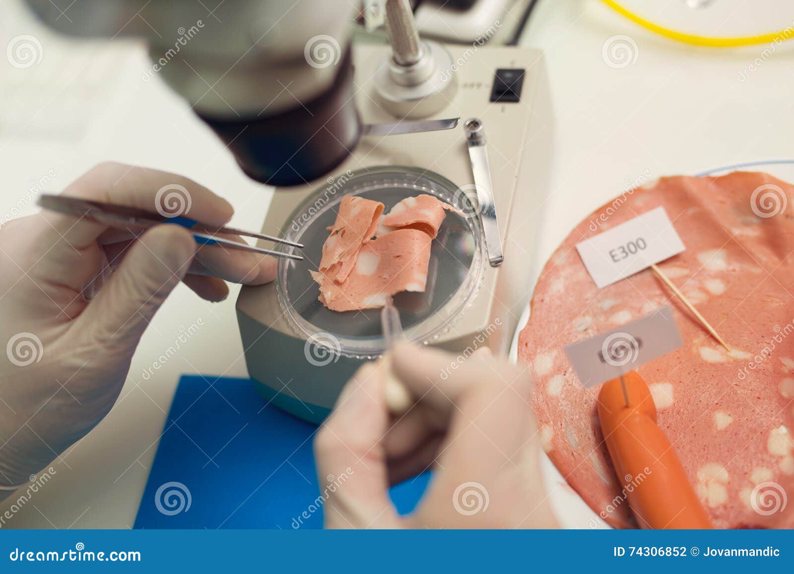 Laboratory Testing of Cured Meat Products Stock Photo - Image of ...