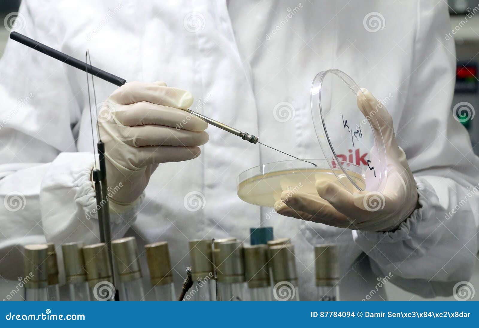 Laboratory for testing editorial stock image. Image of worker - 87784094