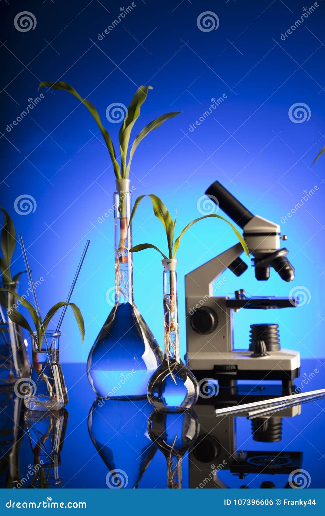 Laboratory Theme. Place for Text. Stock Photo - Image of experimenting ...