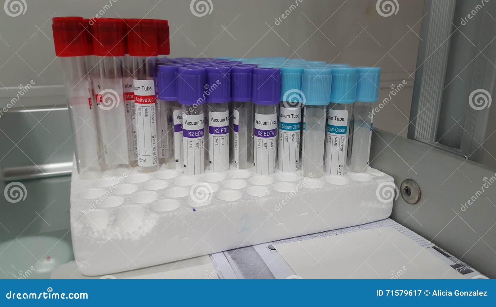 Laboratory Tubes for Blood Test Stock Image - Image of blood, tree ...