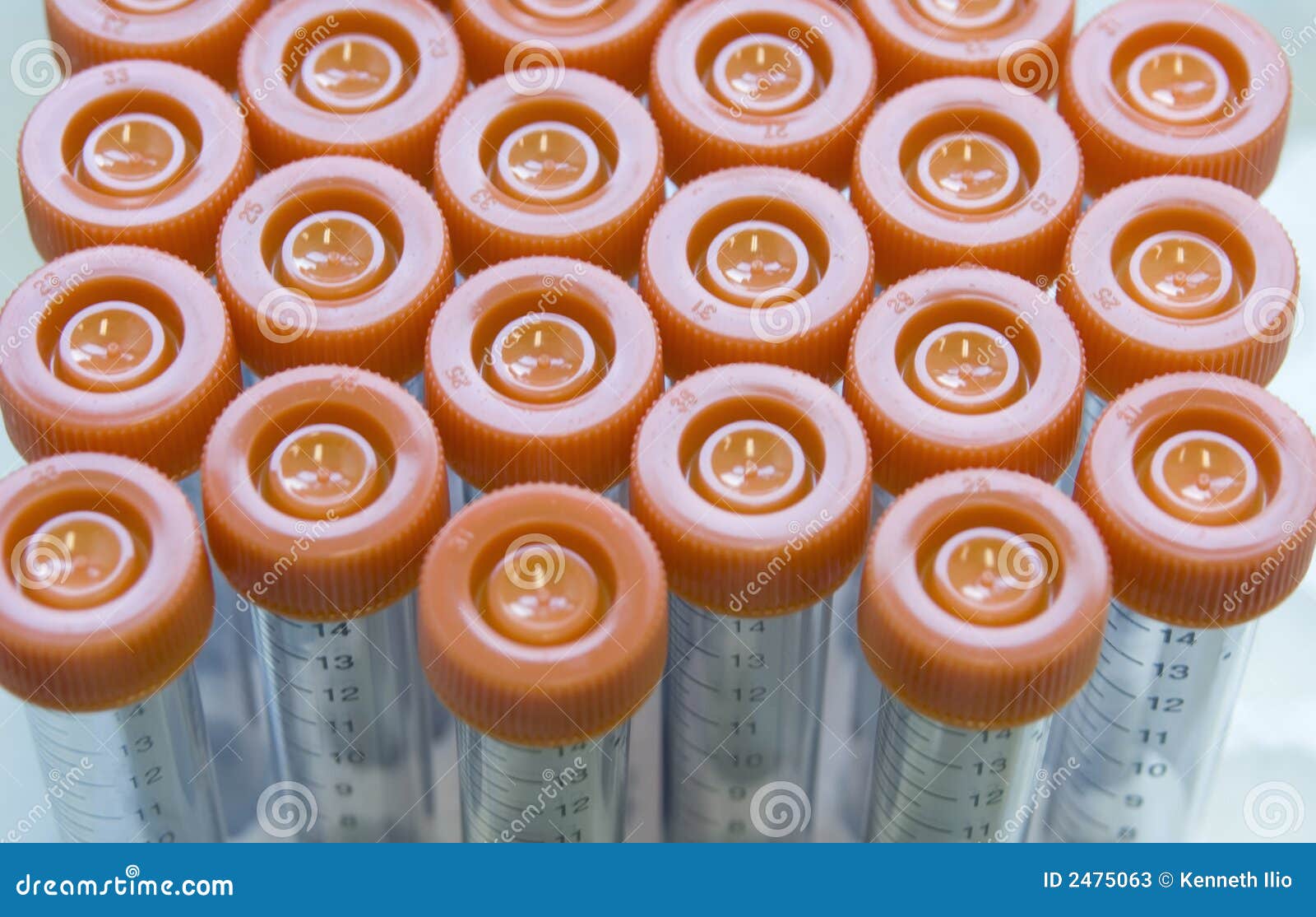 Laboratory Tubes in a Rack stock image. Image of polystrene - 2475063