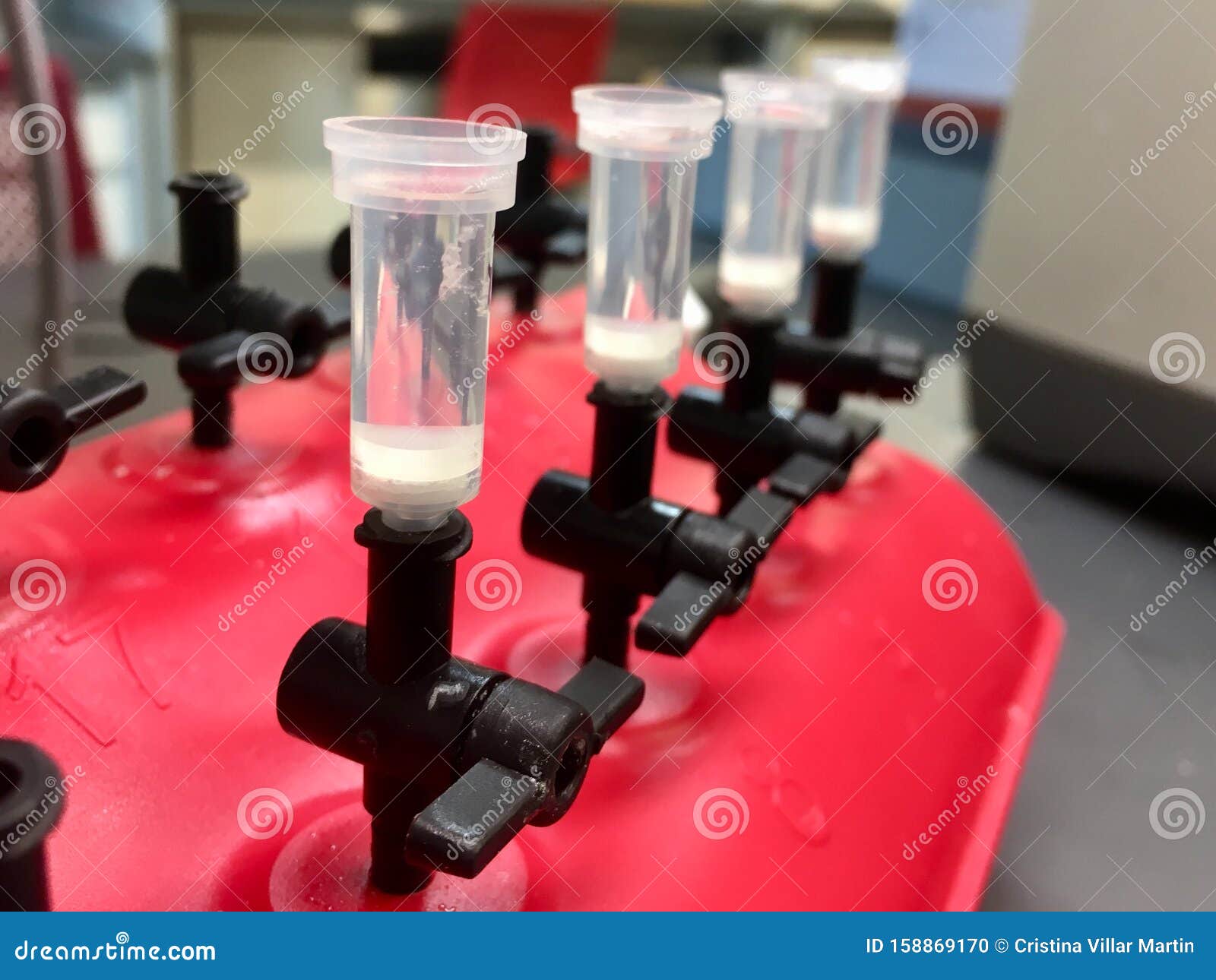 Laboratory Vacuum Manifold Processing Multiple Samples Stock Photo ...