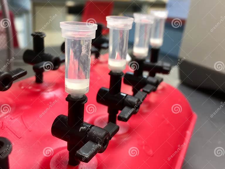 Laboratory Vacuum Manifold Processing Multiple Samples Stock Photo ...