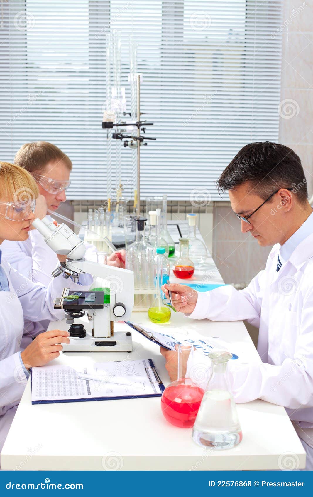Laboratory work stock photo. Image of investigation, holds - 22576868