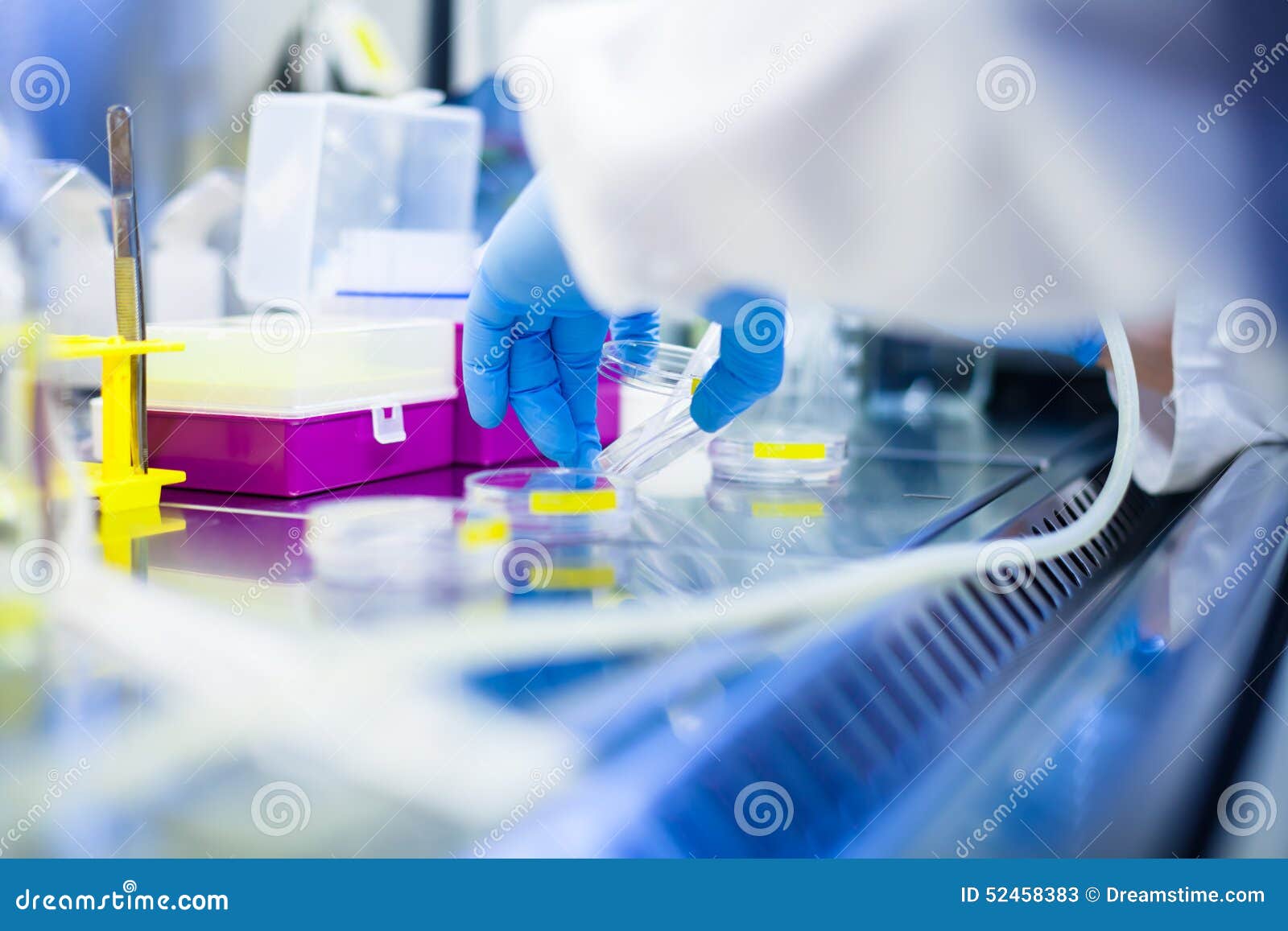 Laboratory Work With Plasmid DNA Extraction Stock Photo | CartoonDealer ...