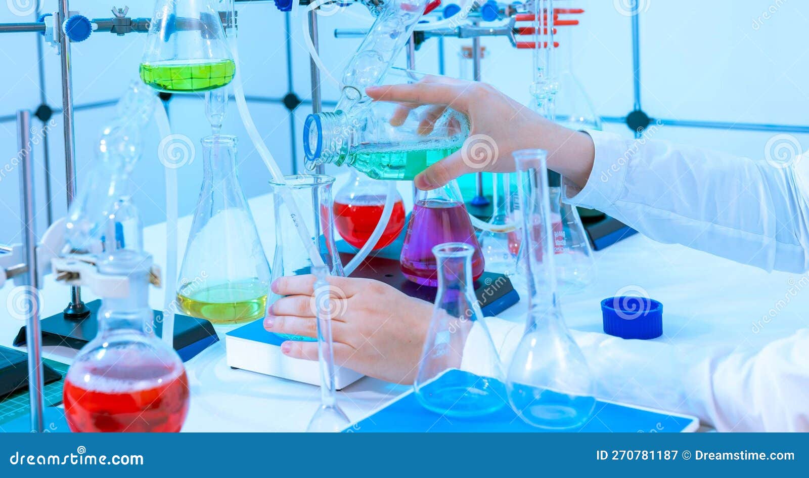 Laboratory Work at a Chemistry Lesson at the Technical University a ...