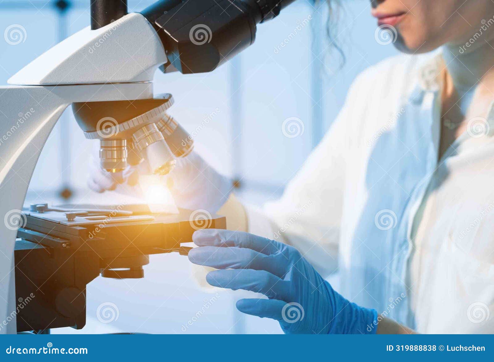 Laboratory Work in a Microbiology Class at the University Stock Photo ...