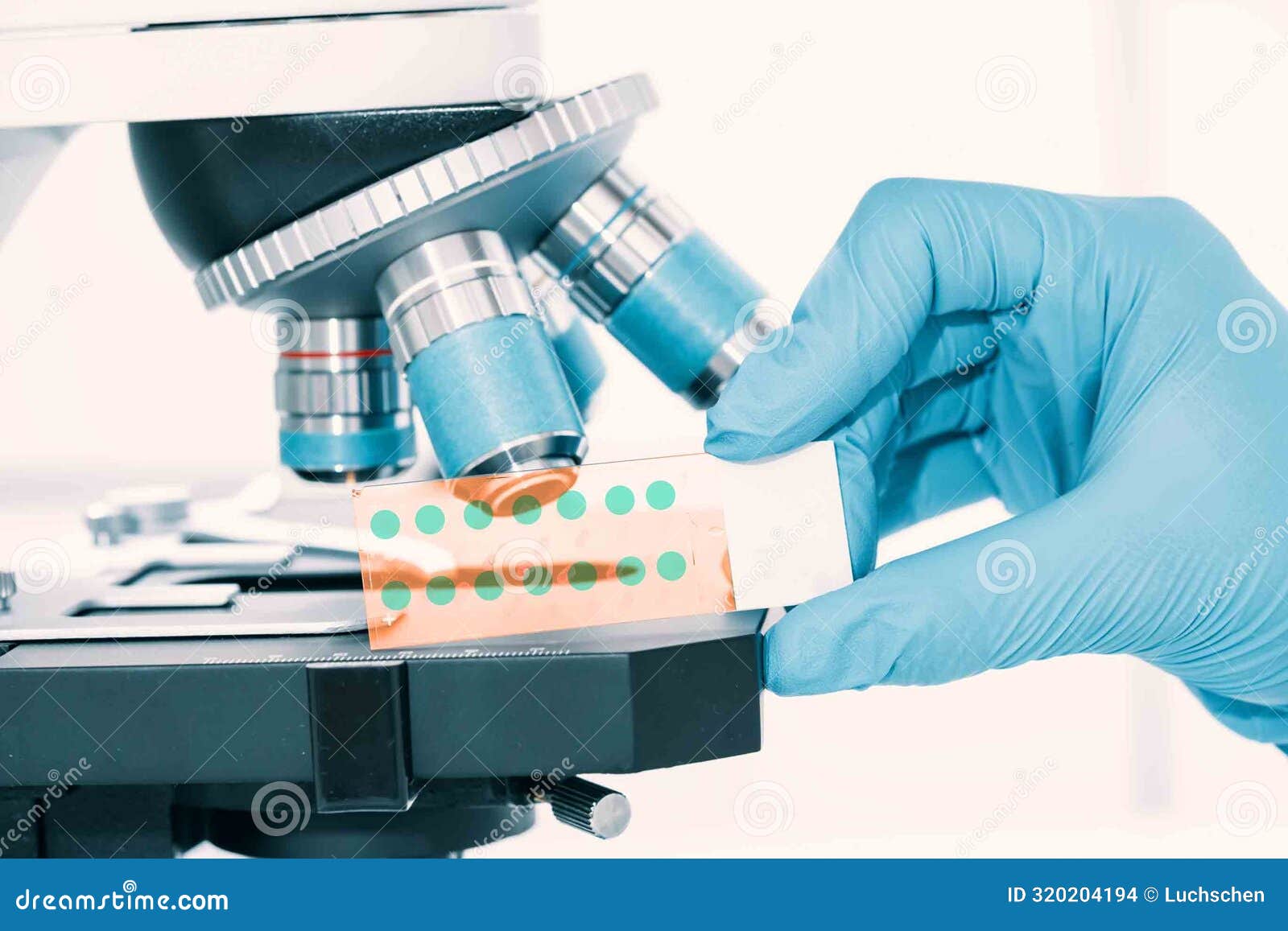 Laboratory Work in a Microbiology Class at the University Stock Photo ...