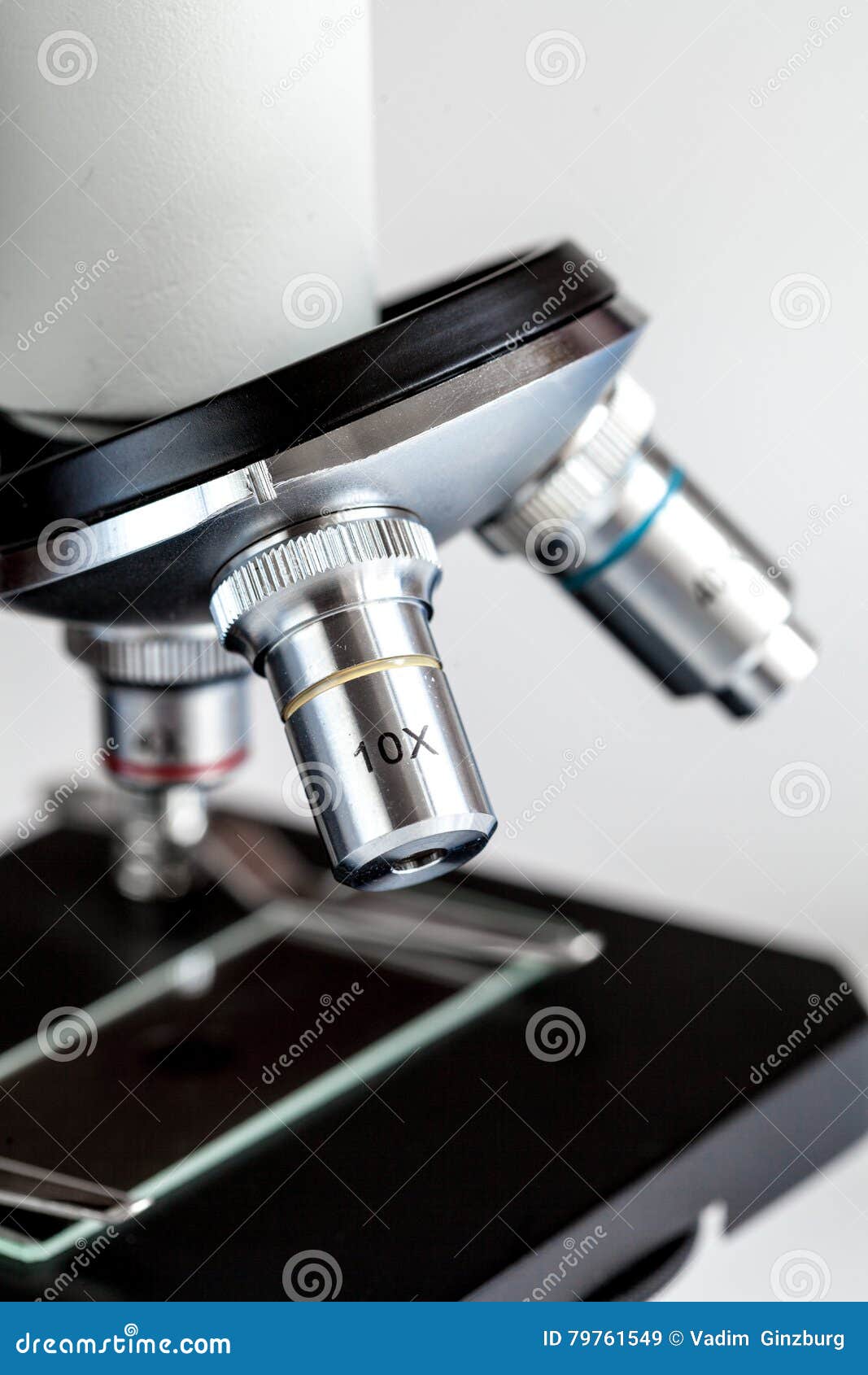 Laboratory Work with Microscope Macro Stock Image - Image of ...