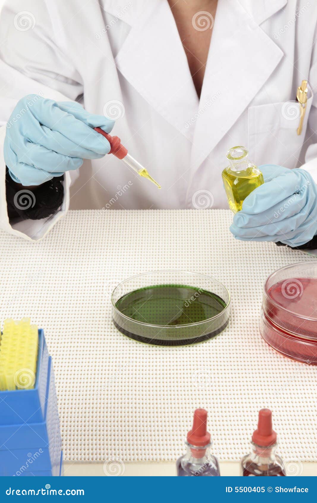 Laboratory worker stock image. Image of adding, dish, gloved - 5500405