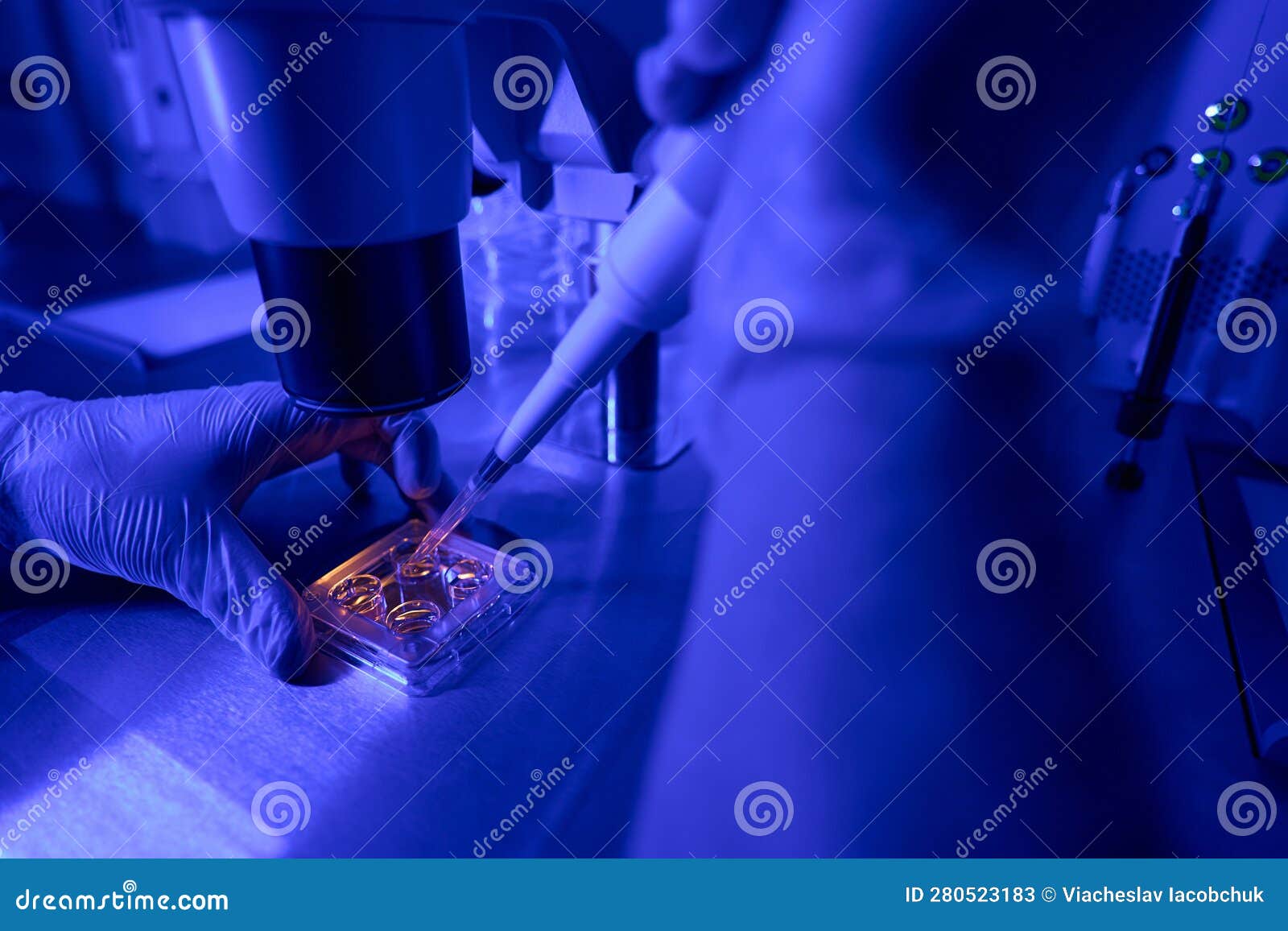 Laboratory Worker Adding Special Fluid To Plate with Embryo Samples ...