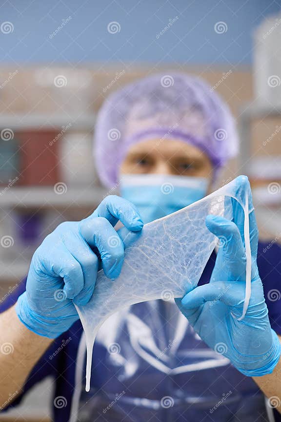 A Laboratory Worker Checks the Condition of the Samples before Testing ...